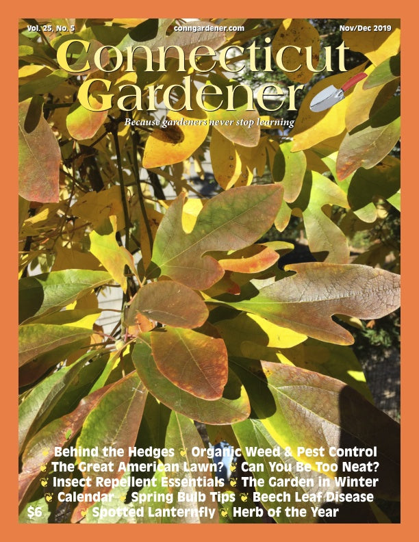 Digital Subscriptions & Access – Connecticut Gardener Magazine